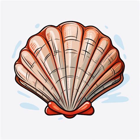 Fotos Desenho Concha 58 000 Fotos De Arquivo Grátis De Alta Qualidade