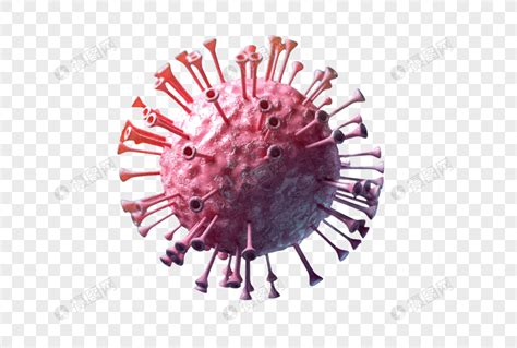 세균 세포 이미지 사진 401805755 무료 다운로드