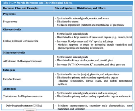 Endo Repro Biochem Steriod Biosynthesis Flashcards Quizlet