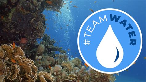 Decompression Sickness In Divers Recognizing And Responding To The Bends