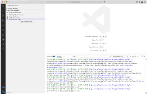 Unable To See Issues In Sonarqube Panels Of The Vs Code Ide Vs Code Sonar Community