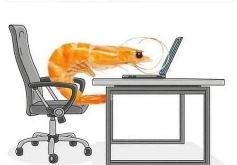 Shrimp Silly Memes Reaction Pictures Really Funny Pictures