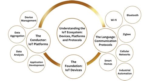 Understanding The Iot Ecosystem Devices Platforms And Protocols