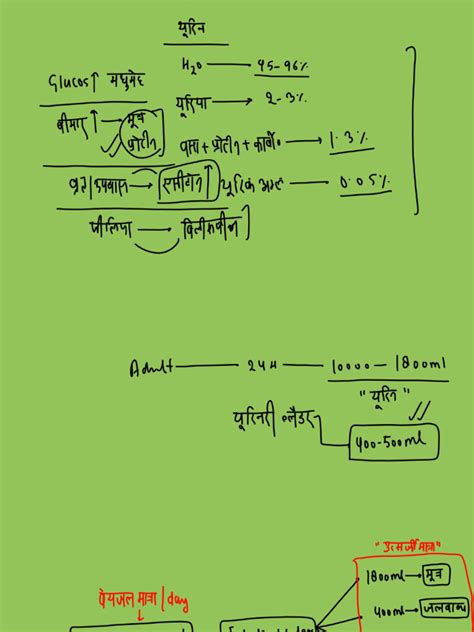 Lecture 19 Biology By Sumit Sir8295309465 Pdf
