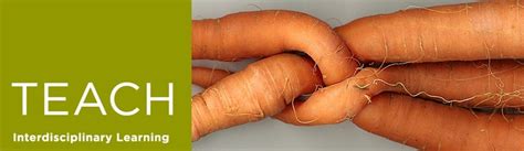 Interdisciplinary Learning Emphasizes Connections Between Traditionally