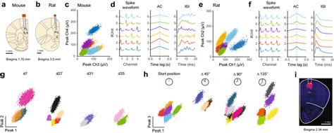Chronic Extracellular Single Unit Recordings In Freely Moving Mice And Download Scientific