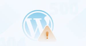 How To Fix WordPress Website Not Loading All Methods Seahawk