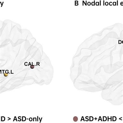 Whole Brain Network Differences Between Groups P Download Scientific Diagram