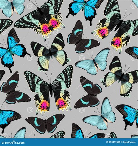 Vector Pattern With High Detailed Tropic Butterfly Stock Vector