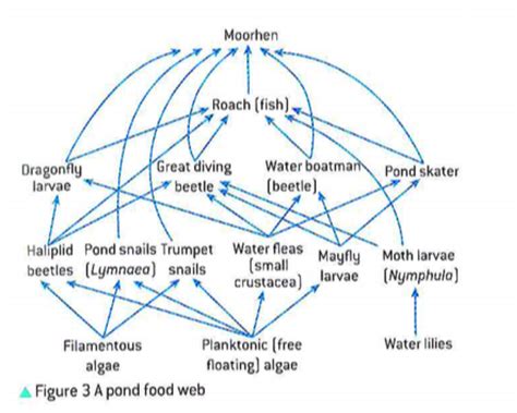 C2 Communities And Ecosystems Biology Portfolio