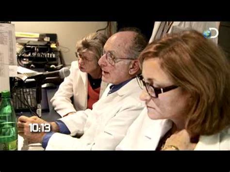 Curiosity Why Is Sex Fun Brain Activity YouTube