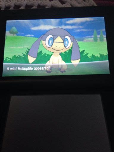 Shiny Hunting Pok Mon Amino