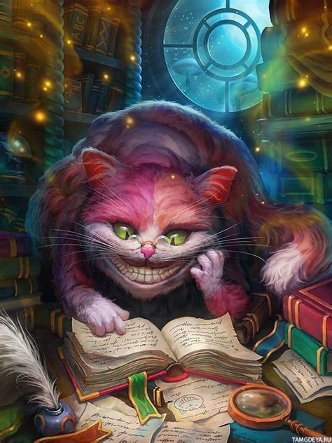 Розовый чеширский кот с улыбкой читает книги — Авы и картинки