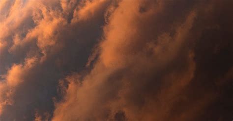 Gravity Forms Wordpress Plugin Free Download 13 Amazing Answers For You