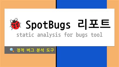 🐞 Spotbugs 리포트 Findbugs Youtube