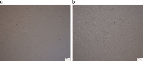 Optical Microstructure Of Superalloy In718 At 1100 °c And Strain Rate Download Scientific