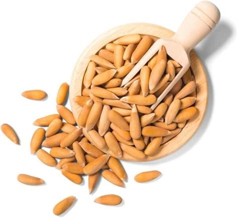 Pine Nuts With Shell Pampore Kesar