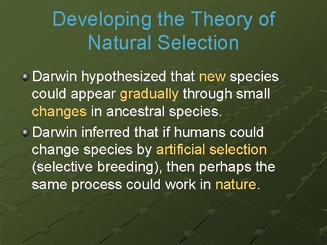 Darwin S 4 Principles Of Natural Selection Examples At Nicholas Heaton Blog