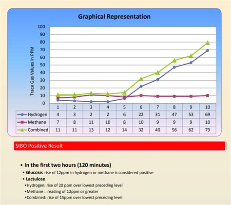 Gut Motility Driver Of The Microbiome Artofit