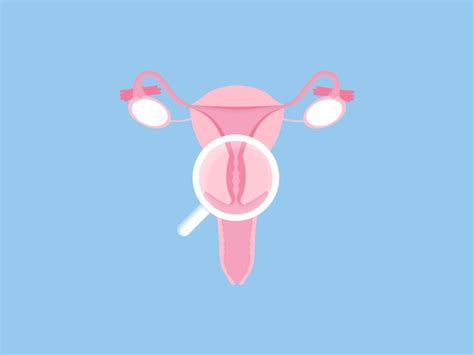 How Can You Tell If Cervix Is Open Or Closed Sale Online