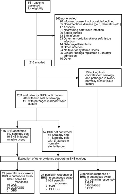 Streptococcus Classification Chart Keski