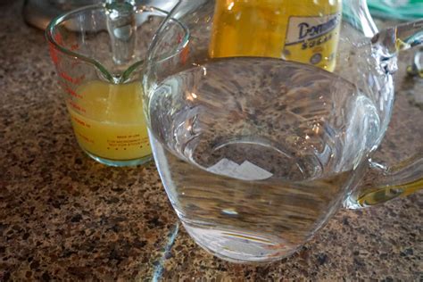 Raspberry Lemonade Organic And Refreshing Dulcet Scintilla