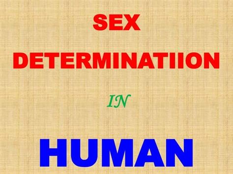 Sex Determination Genetics