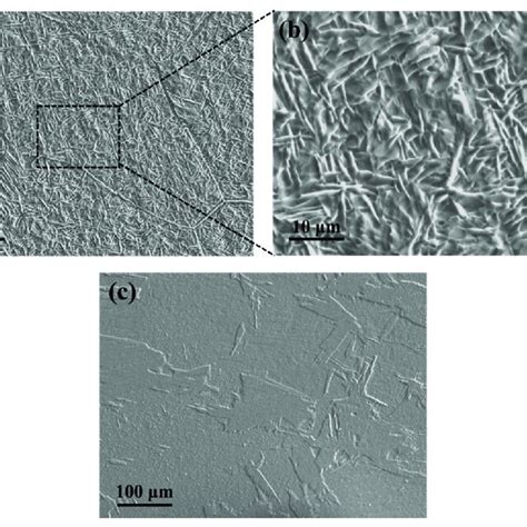 Microstructure In Different Zones Of S1 Ab Fz C Haz Download