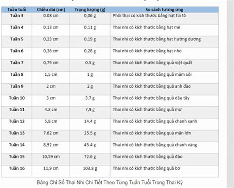 Cách Tính Tuổi Thai Nhi Chính Xác Nhất Hướng Dẫn Chi Tiết và Đầy Đủ