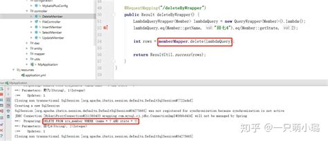MybatisPlus基础篇学习笔记六 更新及删除 知乎