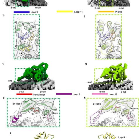 Cryo Em Data Collection 3d Image Processing Statistics Download