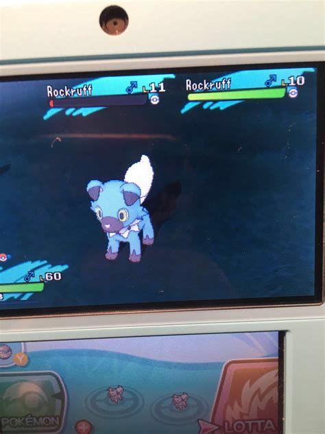 And Then This Jumps Out At My 17th Sos ᕦ ò óˇ ᕤ R Pokemoonsun