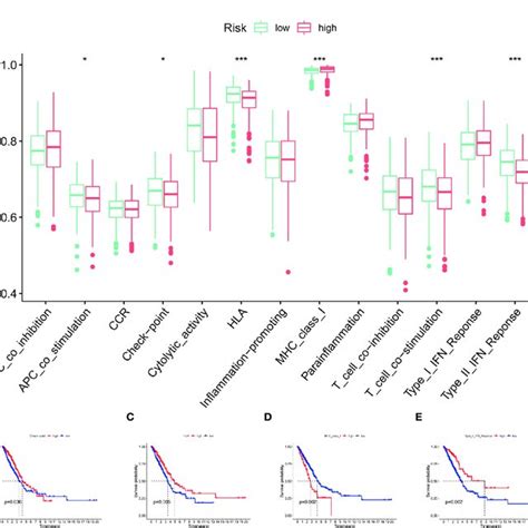 Immune Function Analysis A Boxplot Showing The Relationship Between Download Scientific
