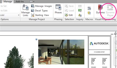 solved dynamo player autodesk community
