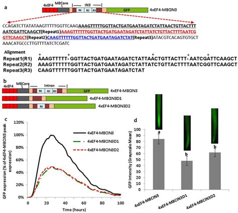 Synthetic Promoters Plos One