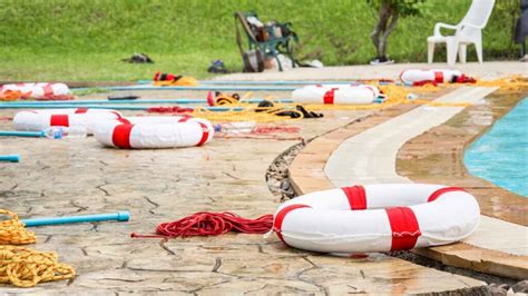 Understanding The Lifeline Assistance Program Lifestyle Toppings