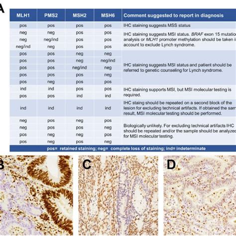 Her2 Testing In Gastroesophageal Adenocarcinomas A Diagnostic