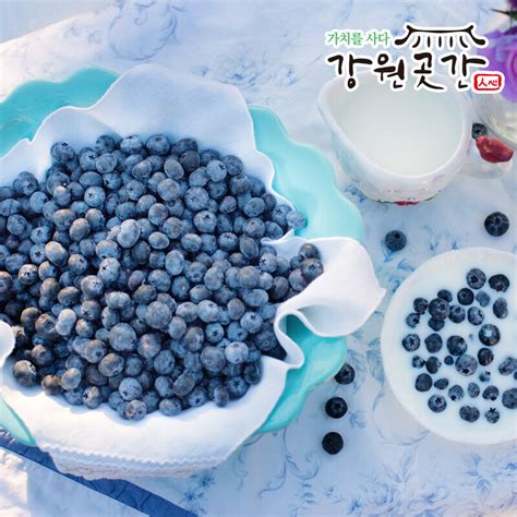 강원곳간com 강원도 정선 유기농 냉동 블루베리 1kg 국내산