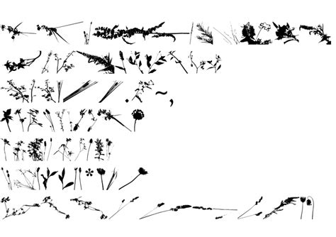 Nature Font Free Download 72 Truetype Ttf Opentype Otf Files