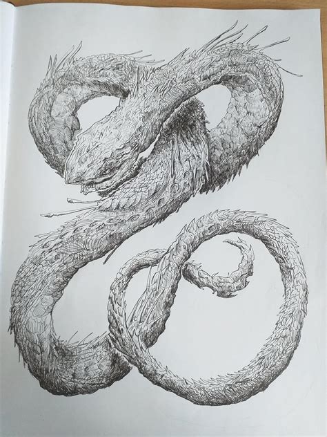 I Further Practiced My Cross Hatching Technique With This One R Drawing