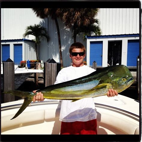 Matthew Causey Youtube