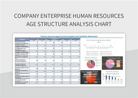 Company Enterprise Human Resources Age Structure Analysis Chart Excel
