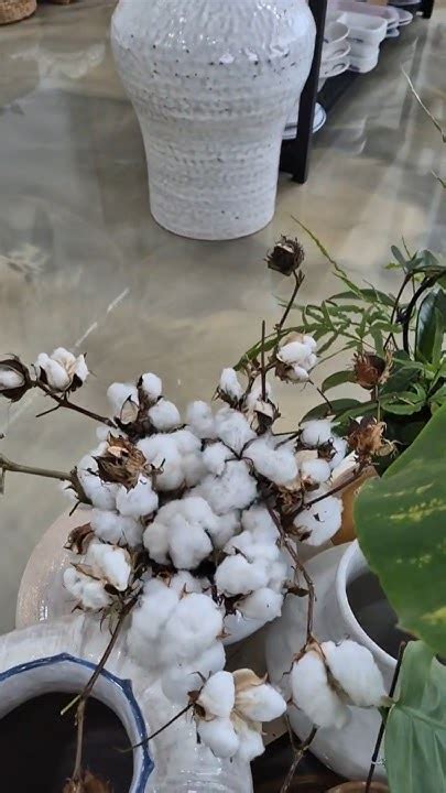 이쁜 매장 조카 가 만든 도자기 그릇 가게 접시 판매 해남 바리기도예작업실 도예 공방 도자기공방 공방체험 도자기체험 목화 찬양 음악 사명