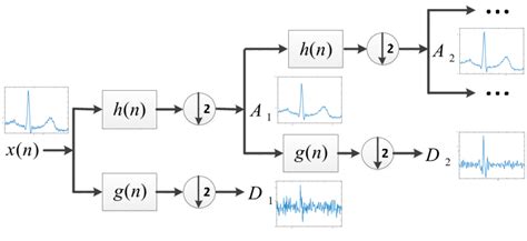 Heartbeat Decomposition With Discrete Wavelet Transform Download Scientific Diagram