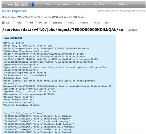Trailhead Module Lightning Platform Api Basics Import Accounts