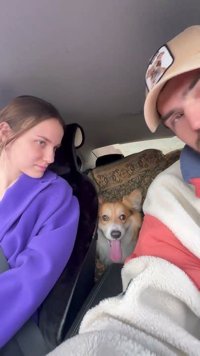 У нас появился новый член семьи😱 Youtube