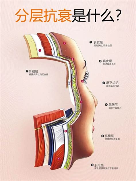 分层抗衰是什么 面部衰老是分层次的，不同层次的衰老表现出来的特征也不一样。人面部结构总体可以分为7️⃣层： 表皮层⥤提亮肤色，改善肤质