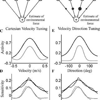Neural Network Model A B And Model Neuron Tuning C E That Download Scientific Diagram