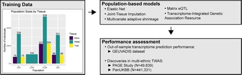 Multivariate Adaptive Shrinkage Improves Cross Population Transcriptome Prediction And