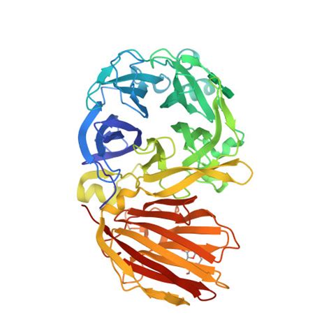 Mutation Mind Map 16 Koleksi Gambar